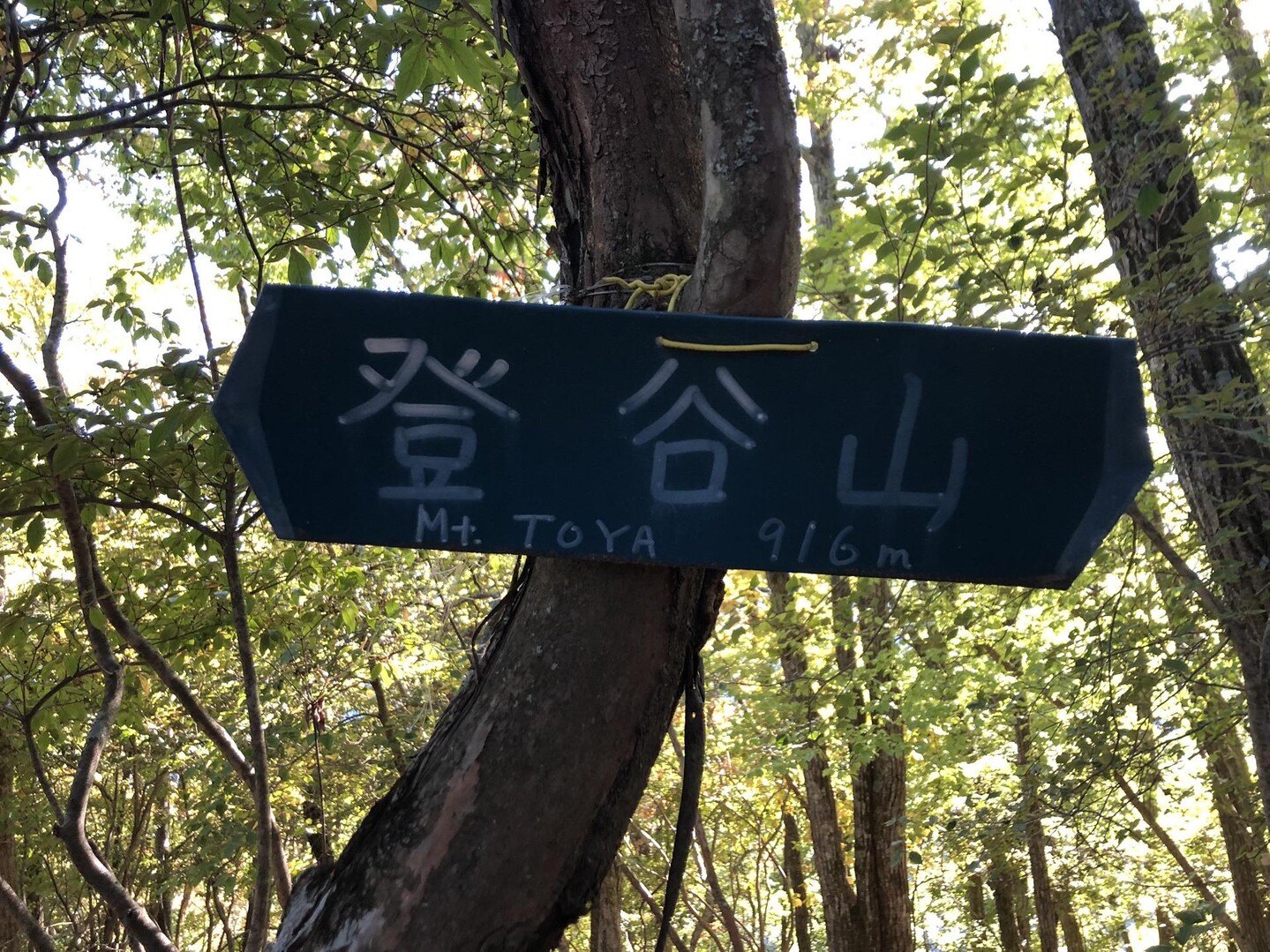 登谷山（神流町）916m / necomaru Xさんの笠丸山の活動データ | YAMAP / ヤマップ