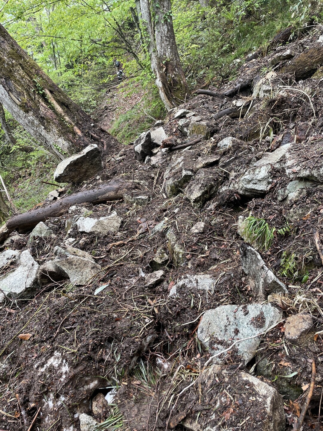 mt.suuuさんの投稿したフィールドメモ | YAMAP / ヤマップ