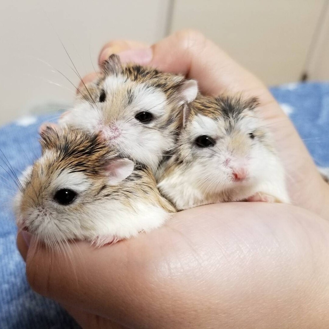 natsumiのページ | YAMAP / ヤマップ