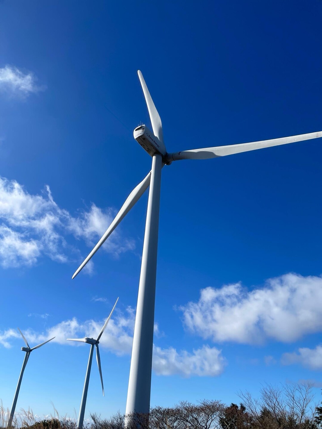 三筋山-2024-12-29 / Yuu Naturehikerさんの天城山・鉢ノ山・三筋山の活動日記 | YAMAP / ヤマップ