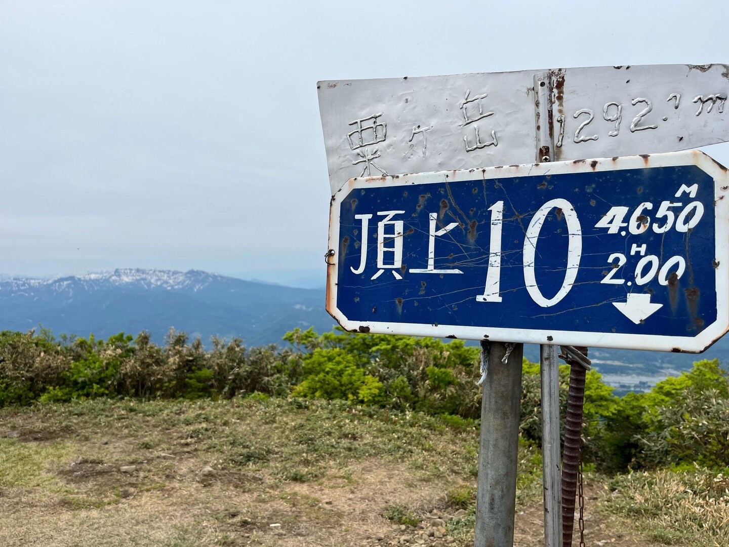 新緑シーズンへ 粟ヶ岳 / tamu.kさんの粟ヶ岳・權ノ神岳・宝蔵山の活動データ | YAMAP / ヤマップ