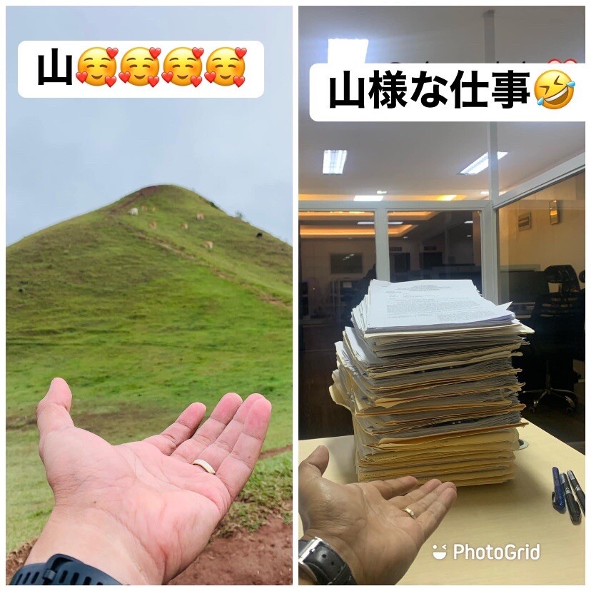 笑笑 / Corneさんのモーメント | YAMAP / ヤマップ