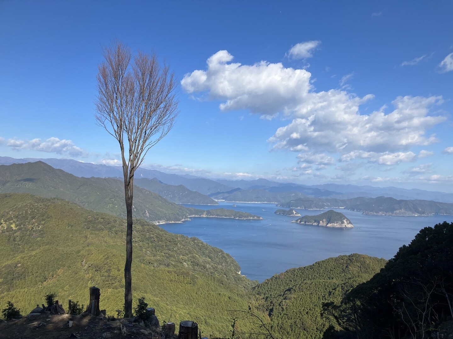 山は海の恋人 ️ 頂山からオハイ / issanさんの八鬼山・頂山・オハイの活動データ | YAMAP / ヤマップ