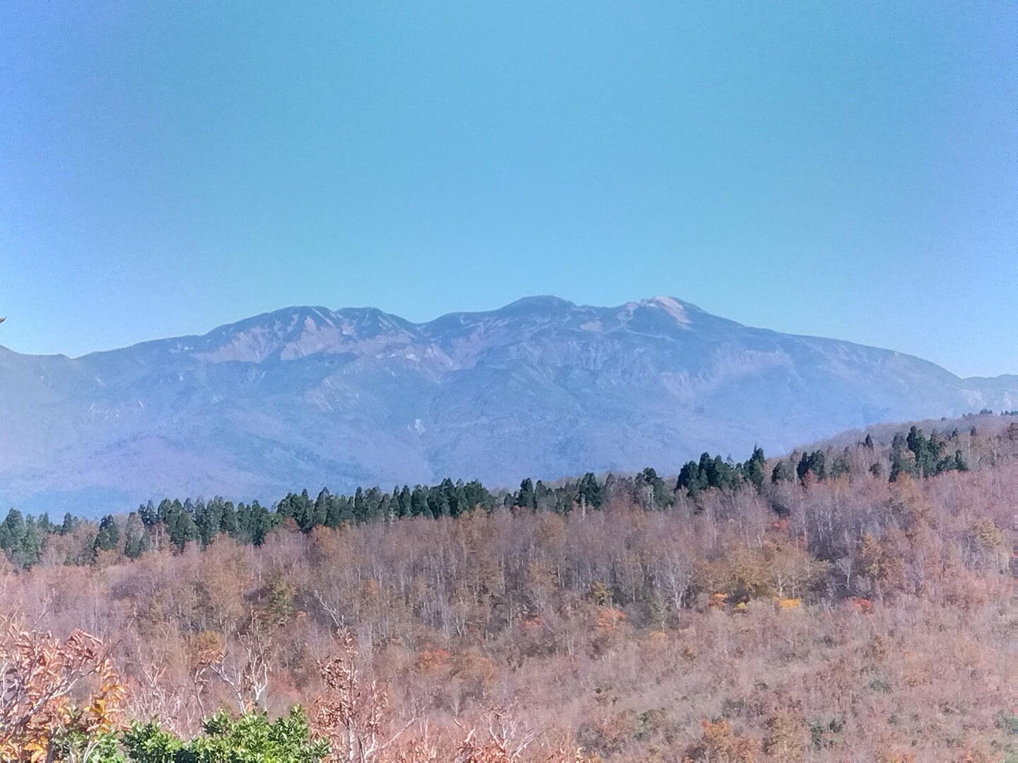 BRAVO！！取立山 / isokitiさんの取立山の活動データ | YAMAP / ヤマップ