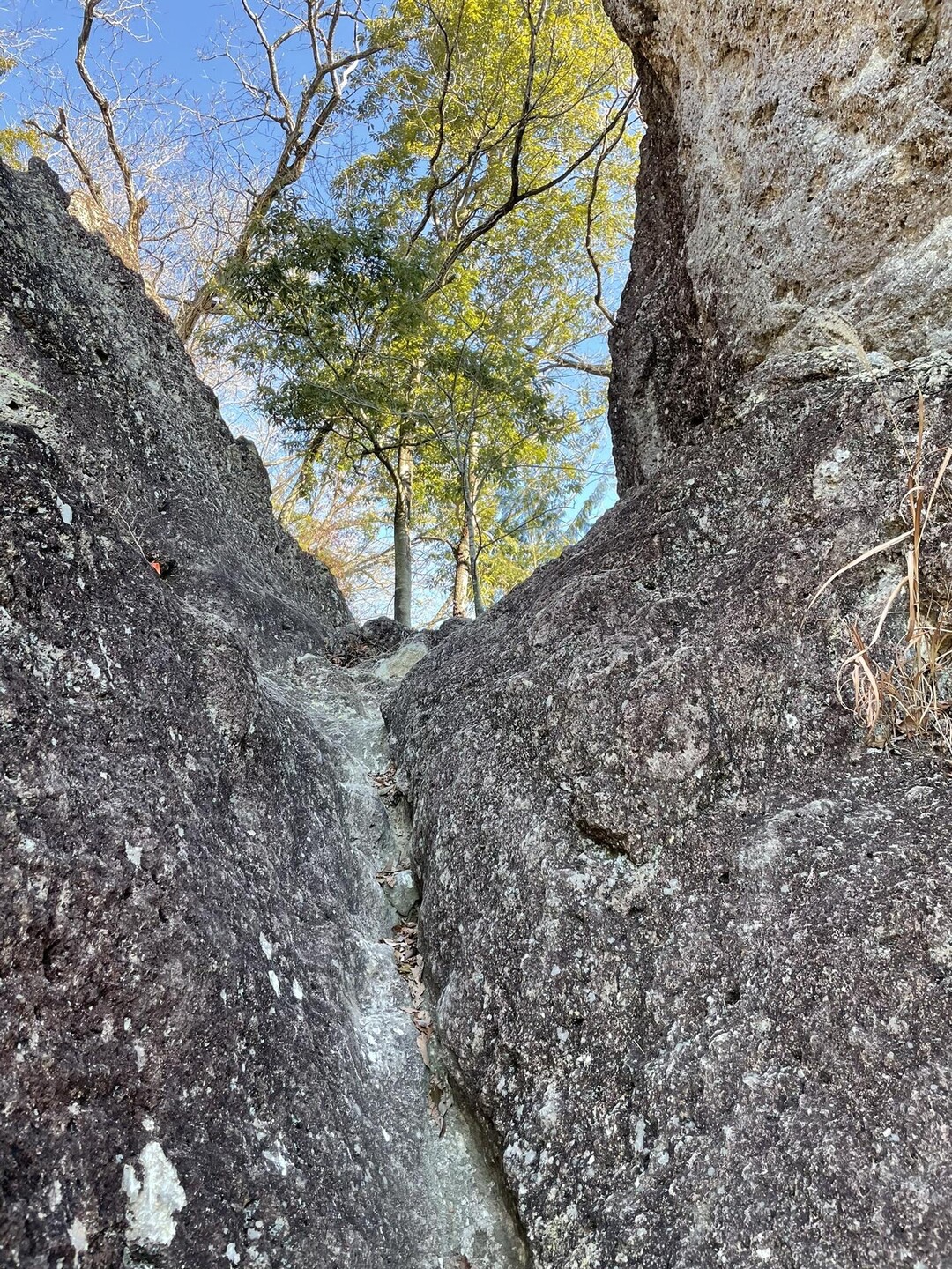 2024.01.06(土) 01:22 / gricoユーザーさんのモーメント | YAMAP / ヤマップ