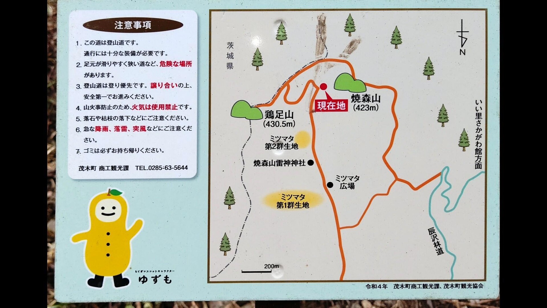 焼森山・鶏足山・赤沢富士 / moenoeさんの焼森山・鶏足山の活動データ | YAMAP / ヤマップ