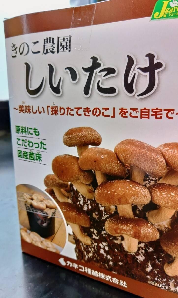 いよいよ、待ちに待ったこの季節がやって... / kazさんのモーメント | YAMAP / ヤマップ