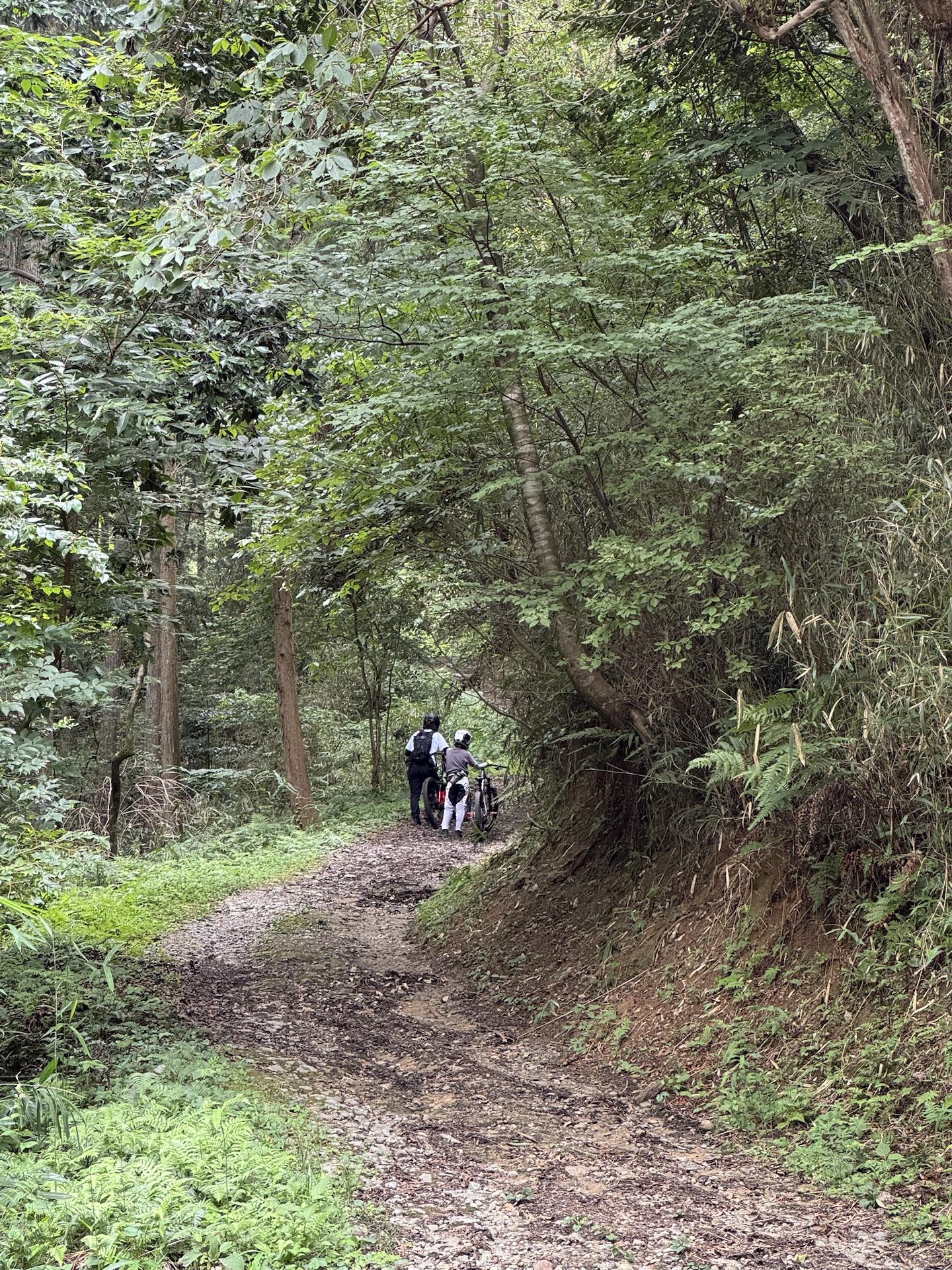 矢田山 / Ikuさんの矢田丘陵・法隆寺の活動データ | YAMAP / ヤマップ