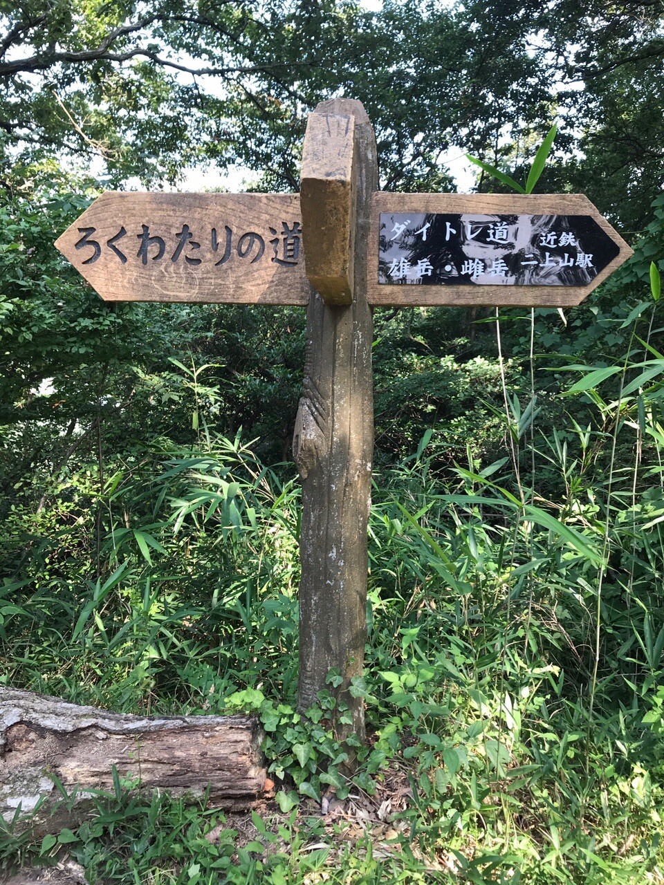 とぴさんの投稿したフィールドメモ | YAMAP / ヤマップ