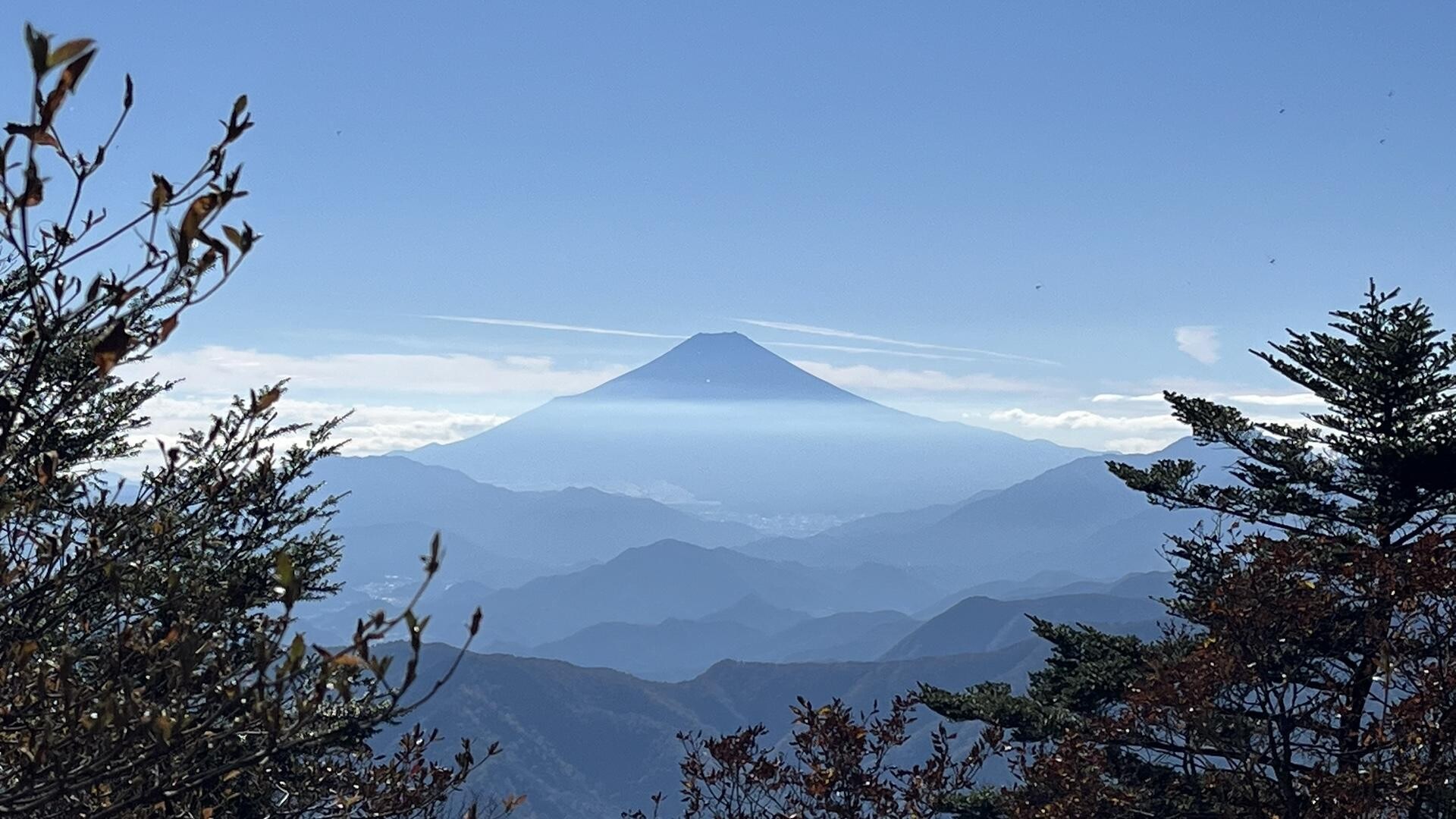 浮橋をへて三頭山 / teiiiineさんの三頭山・槇寄山・土俵岳の活動データ | YAMAP / ヤマップ