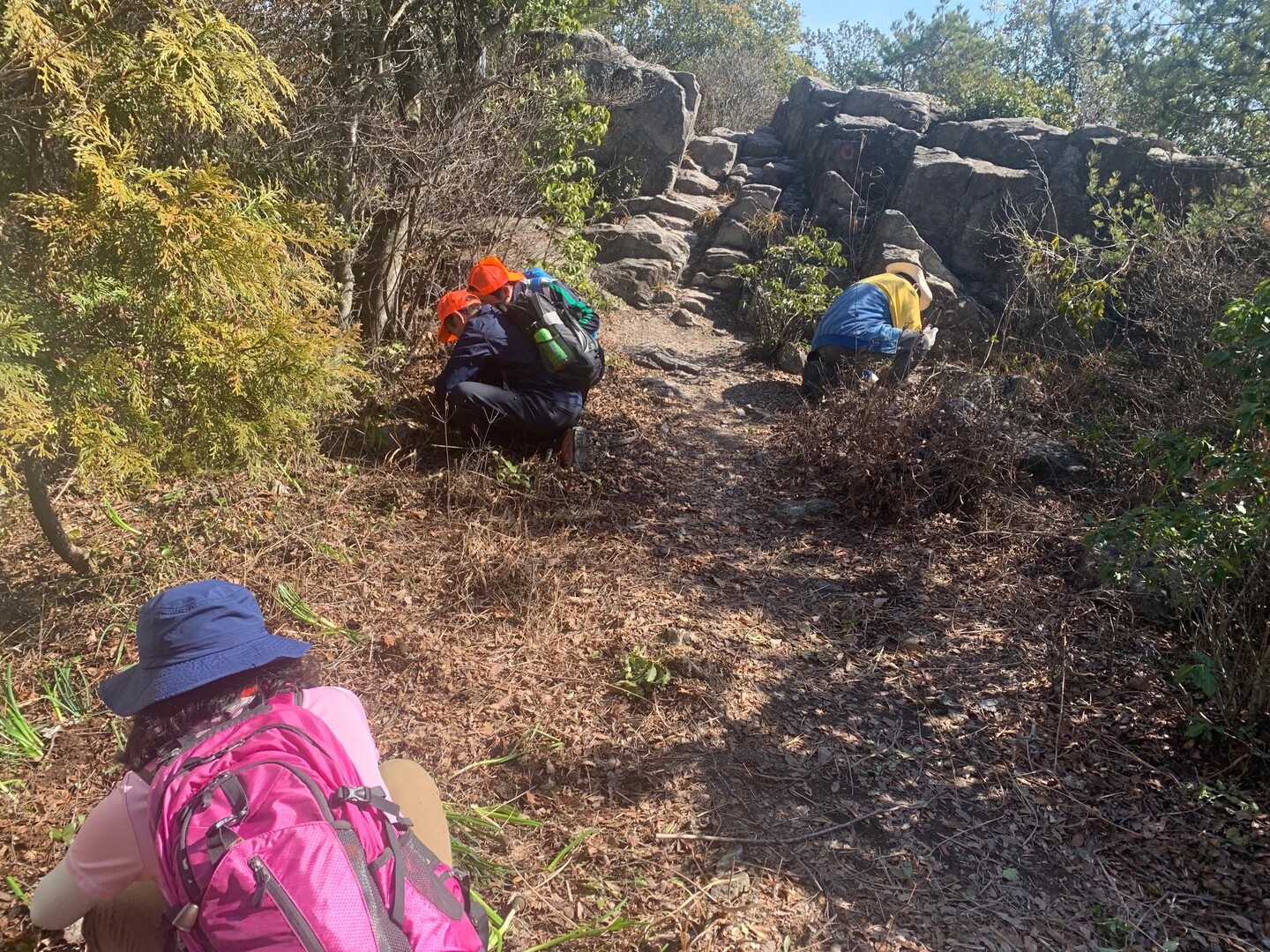 小天狗山・天狗山 / kinocoさんの天狗山の活動データ | YAMAP / ヤマップ