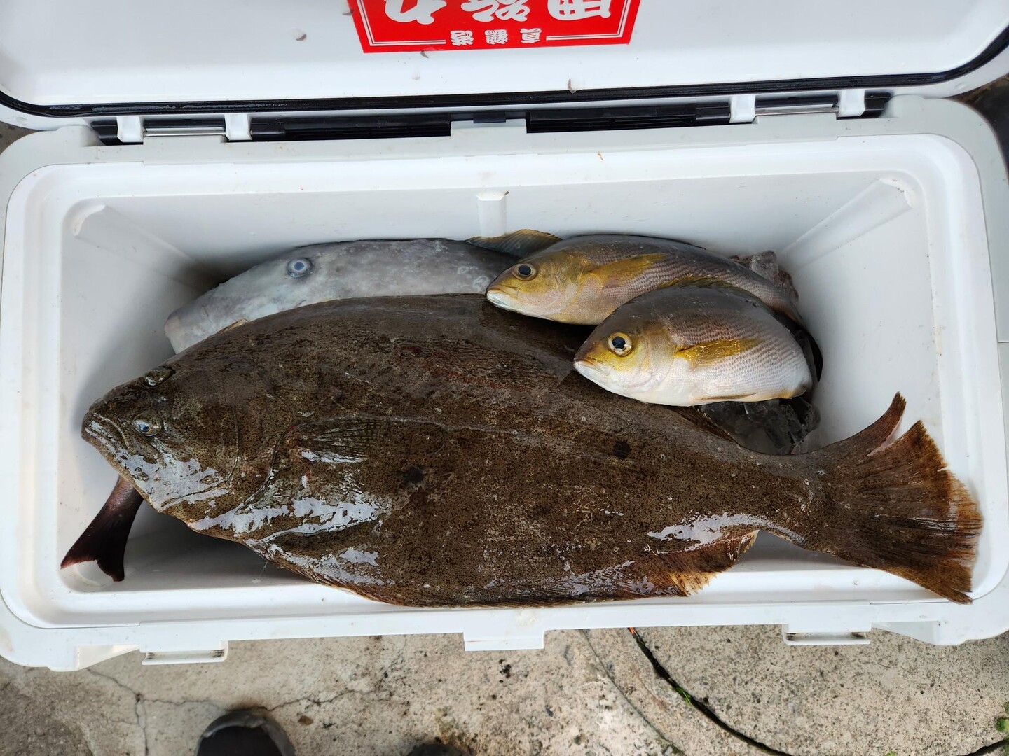 長男が伊東からシマアシ狙いで出船しました... / 湘南3699さんのモーメント | YAMAP / ヤマップ