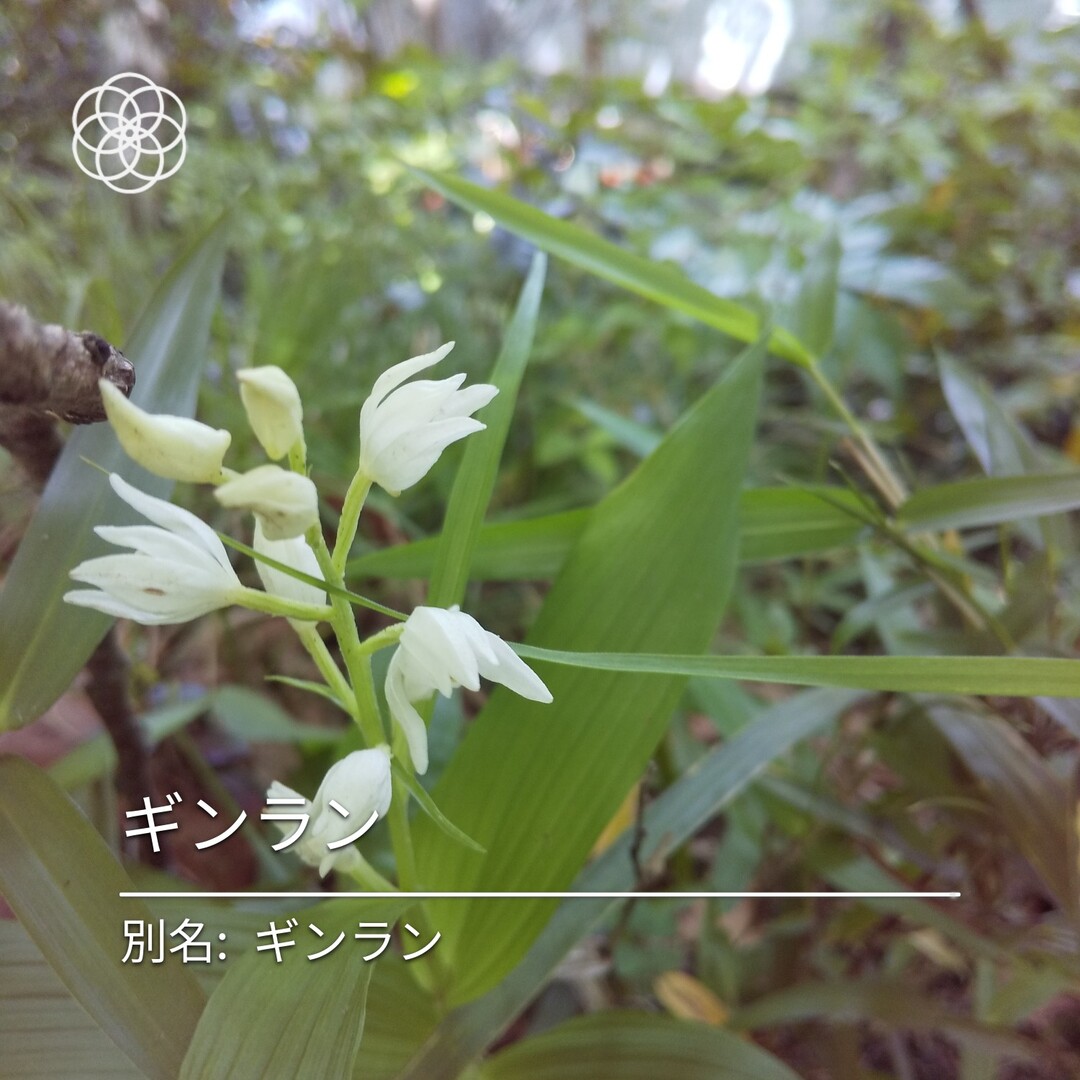 2021.5.4 ホームマウンテ... / Kei さんのモーメント | YAMAP / ヤマップ