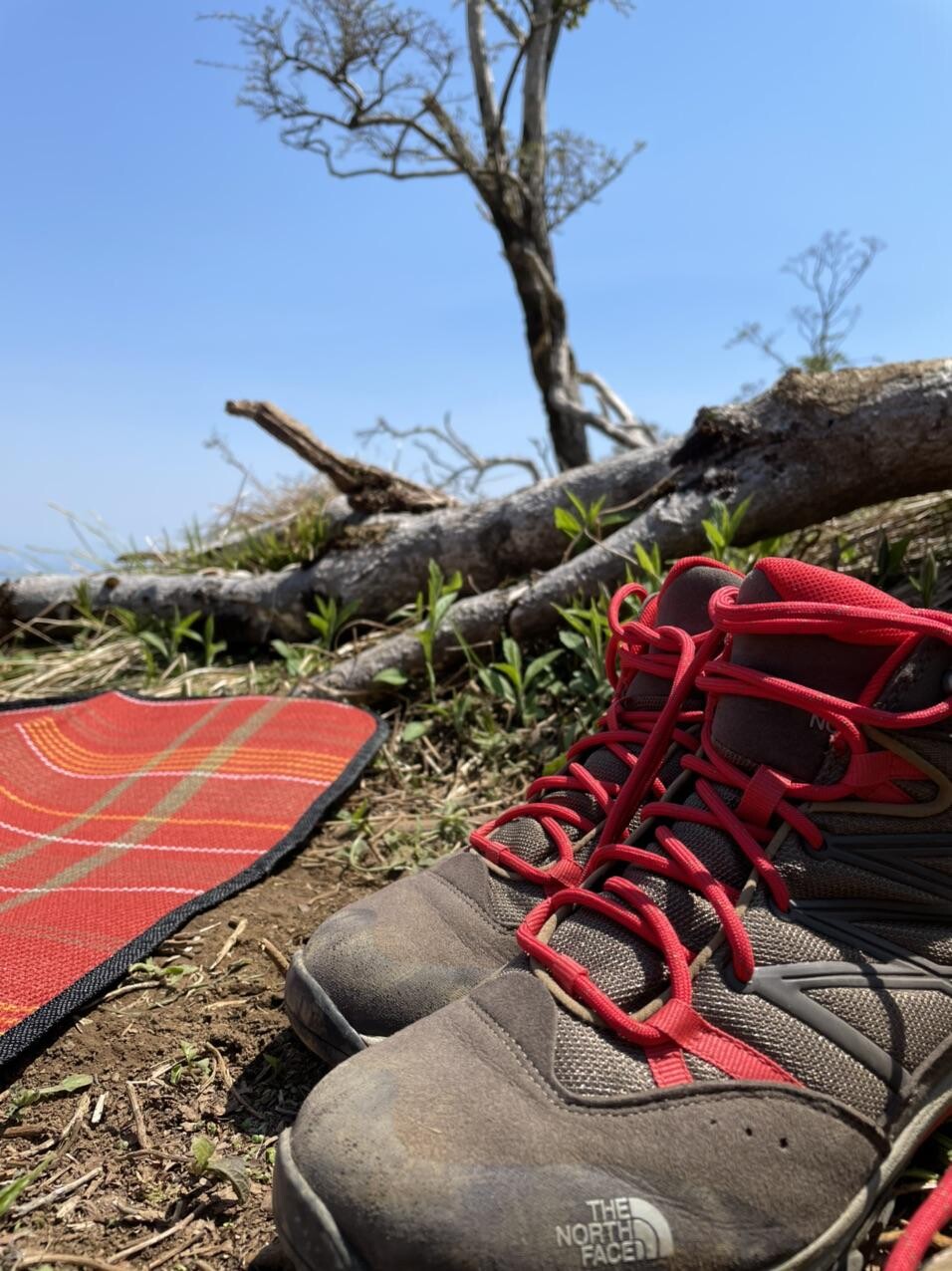 ERNGのページ | YAMAP / ヤマップ