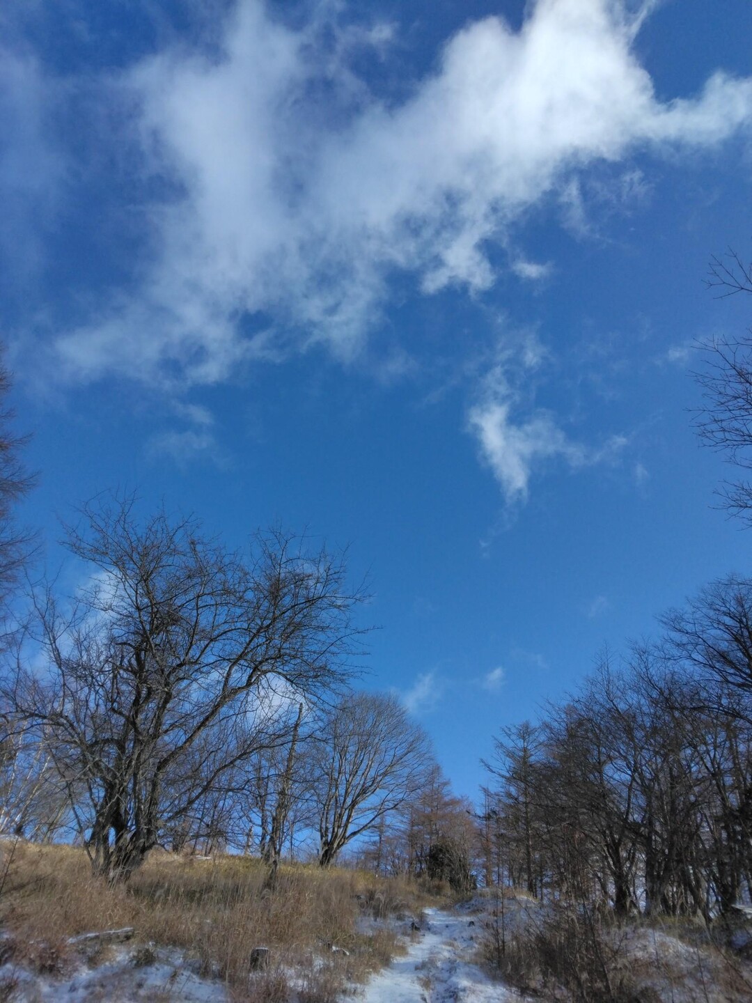 笠取山 / kazさんの和名倉山・笠取山・東仙波の活動日記 | YAMAP / ヤマップ