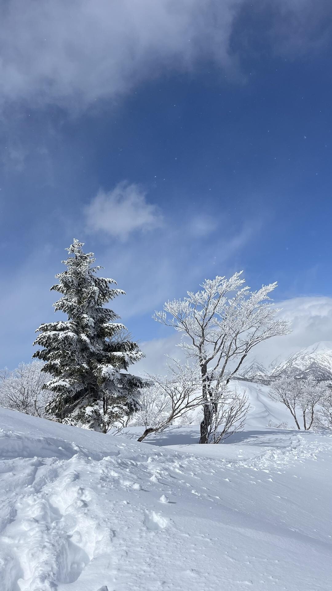 大日ヶ岳・天狗山 ️⛄️ / ma._.maさんの大日ヶ岳・毘沙門岳の活動データ | YAMAP / ヤマップ