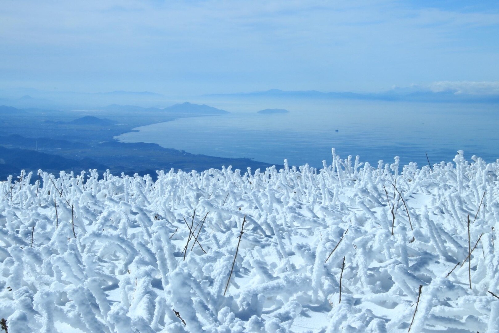 想定外の霧氷・伊吹山 / gussanさんの伊吹山・伊吹高原・御座峰の活動データ | YAMAP / ヤマップ
