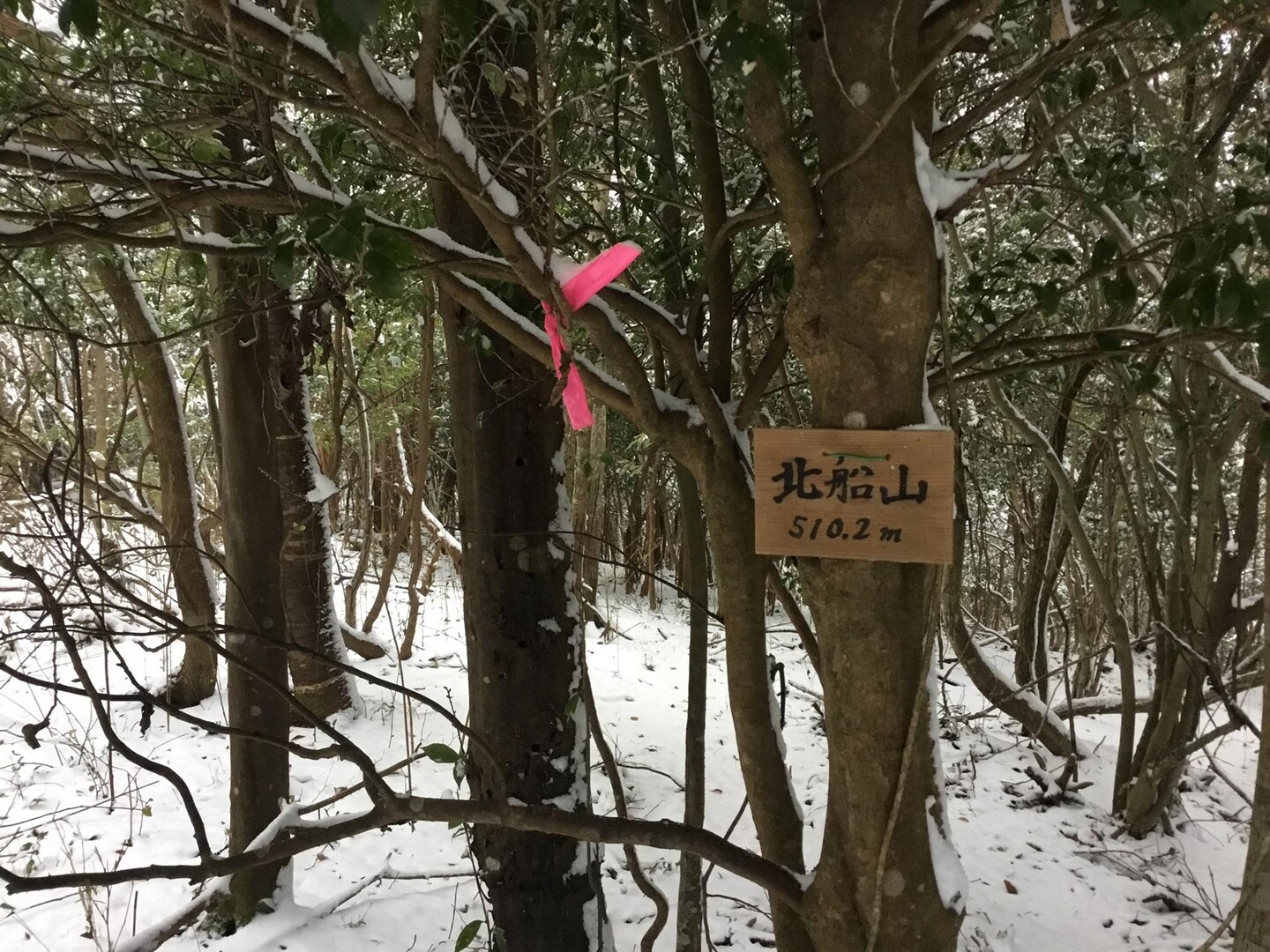 北船山 / によによ(*' '*)さんの登山の活動データ | YAMAP / ヤマップ