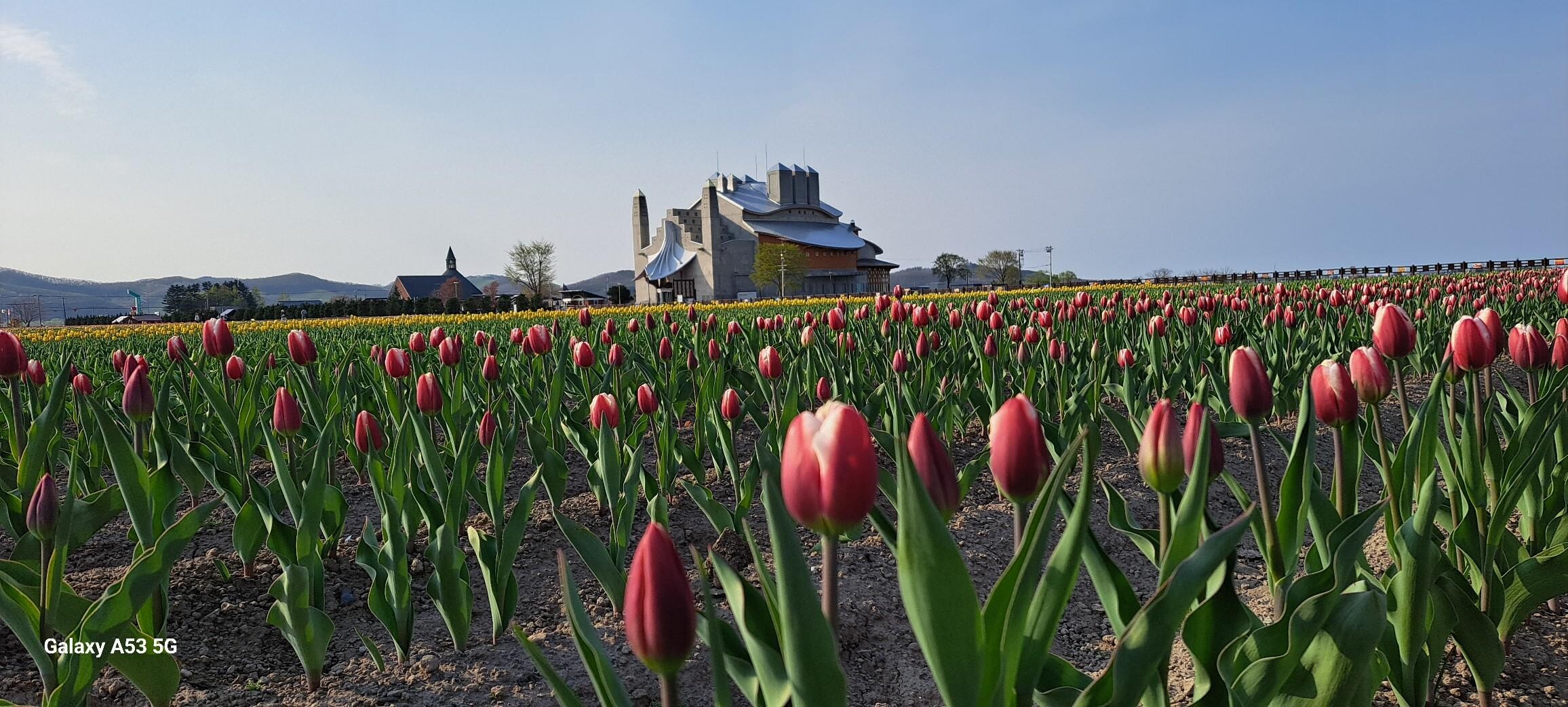 今日は､弟家族が帰った後に､姉とドライブ... / mojyaさんのモーメント | YAMAP / ヤマップ