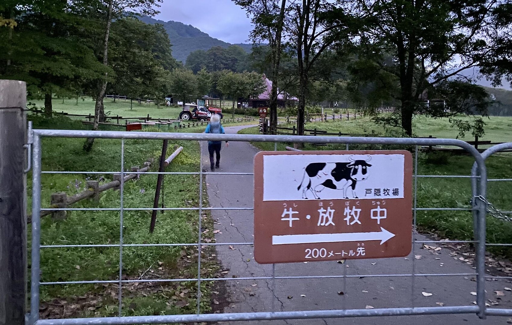 蒸し暑し🥵高妻山 山は秋の気配 / mtakoさんの高妻山・戸隠山の活動データ | YAMAP / ヤマップ
