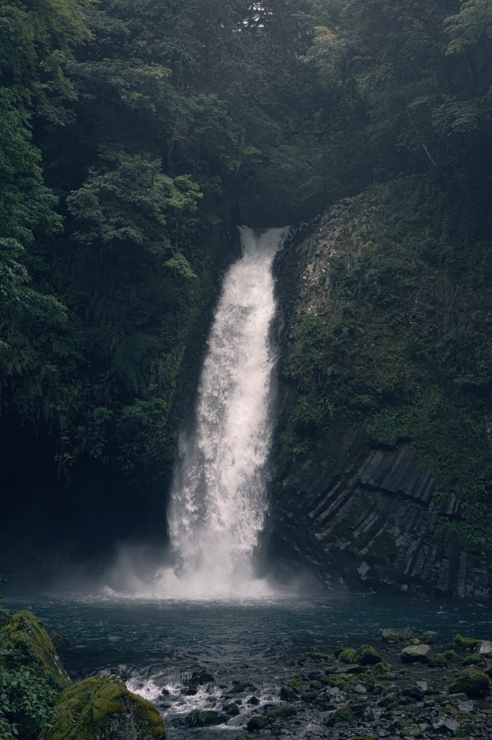 浄蓮の滝 / vlog_tottiyさんのモーメント | YAMAP / ヤマップ