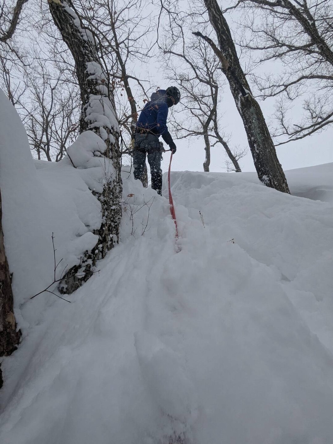 冬山トレ…遊びかな… カリスマ店長と遭遇... / TOP ROPE さんのモーメント | YAMAP / ヤマップ