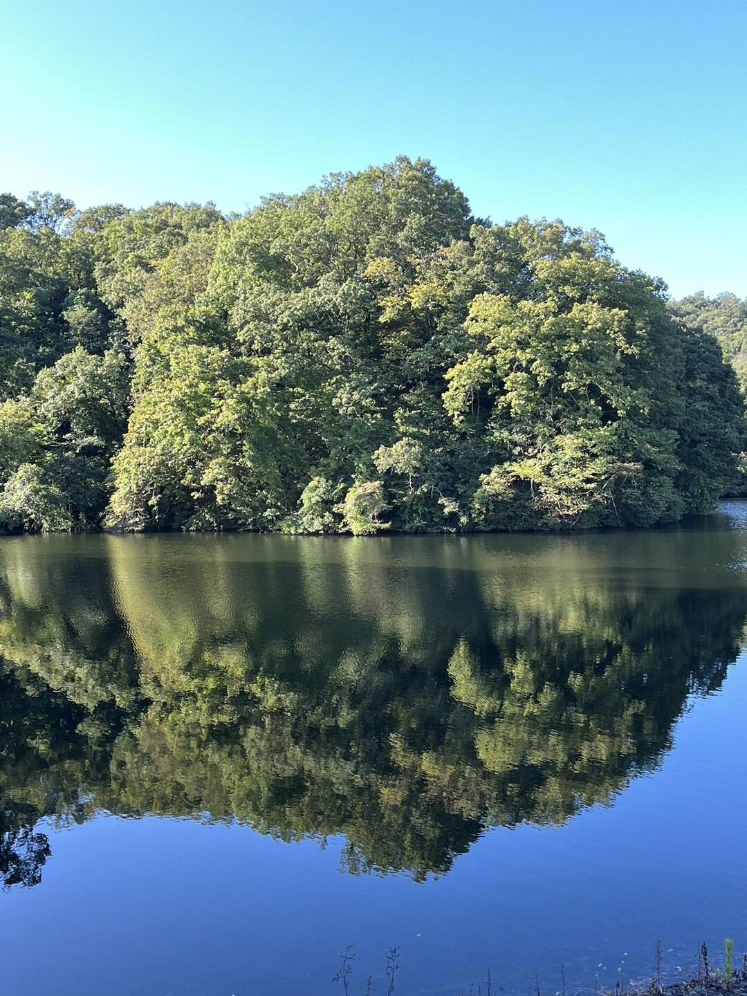 高岡山・旭山・早刈山・高松山・一蓋被の嶺・割林山・星海山・星田山・皿谷山・池之内山・南池之内山... / Ryouさんの交野山・国見山の活動データ | YAMAP / ヤマップ