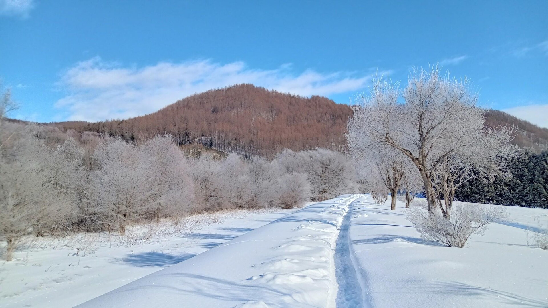 霧氷のウォーキングコース / かずたOKTさんのウォーキングの活動データ | YAMAP / ヤマップ