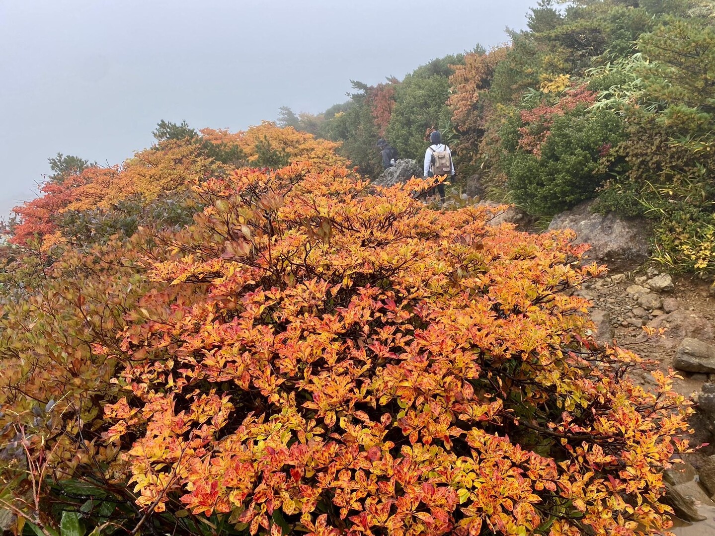 とうとう登頂、安達太良山。 / 3to4さんの安達太良山・箕輪山・鬼面山の活動データ | YAMAP / ヤマップ