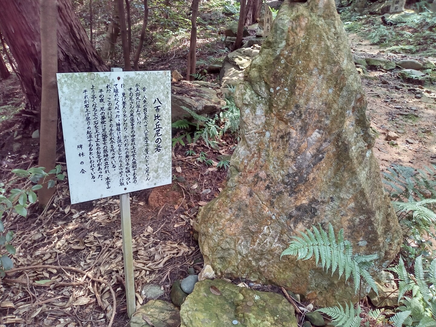 ねこあさんの投稿したフィールドメモ | YAMAP / ヤマップ