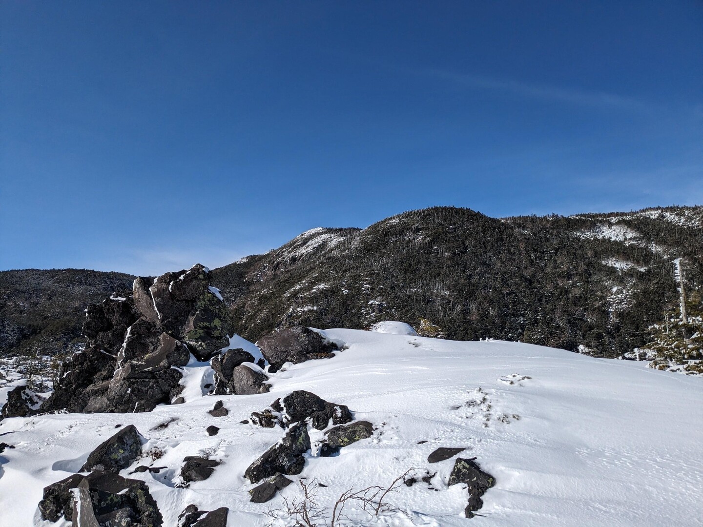 北横岳 / ともさんの蓼科山・横岳・縞枯山の活動日記 | YAMAP / ヤマップ