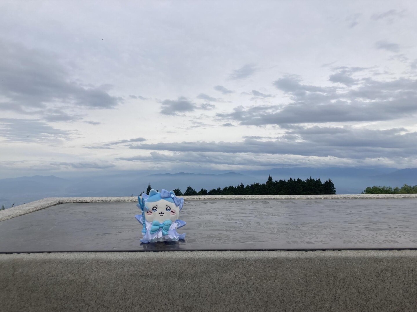 🌺大和葛城山 / Leeさんの金剛山・二上山・大和葛城山の活動データ | YAMAP / ヤマップ