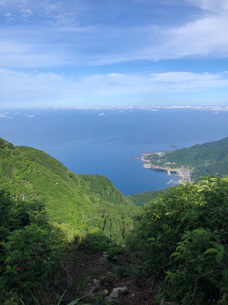 2021-06-26 門前から！ / sada 23さんの登山の活動データ | YAMAP / ヤマップ