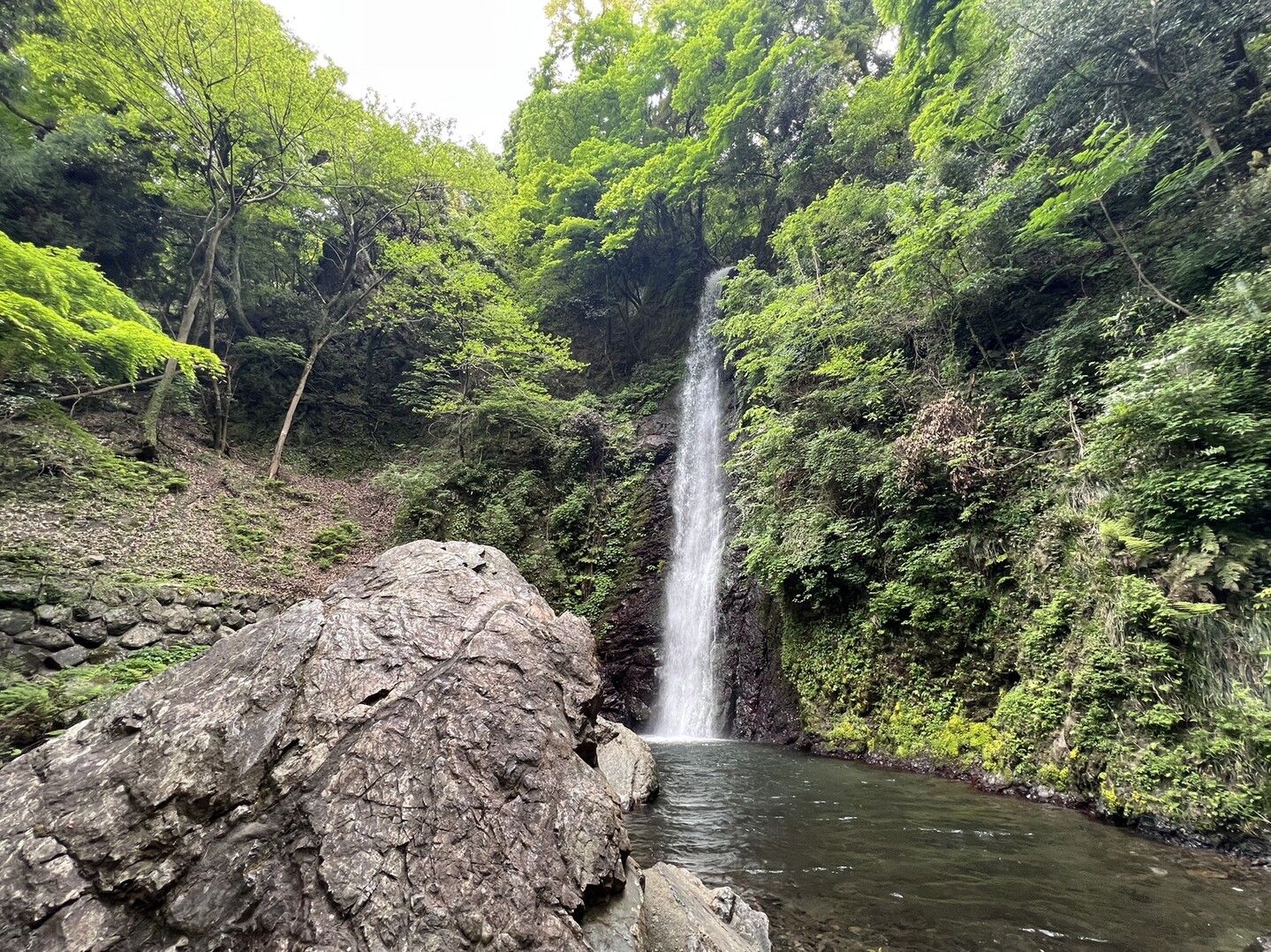養老山脈縦走(多度山〜養老山) / yosshyさんの多度山・美濃松山・石津御嶽の活動日記 | YAMAP / ヤマップ