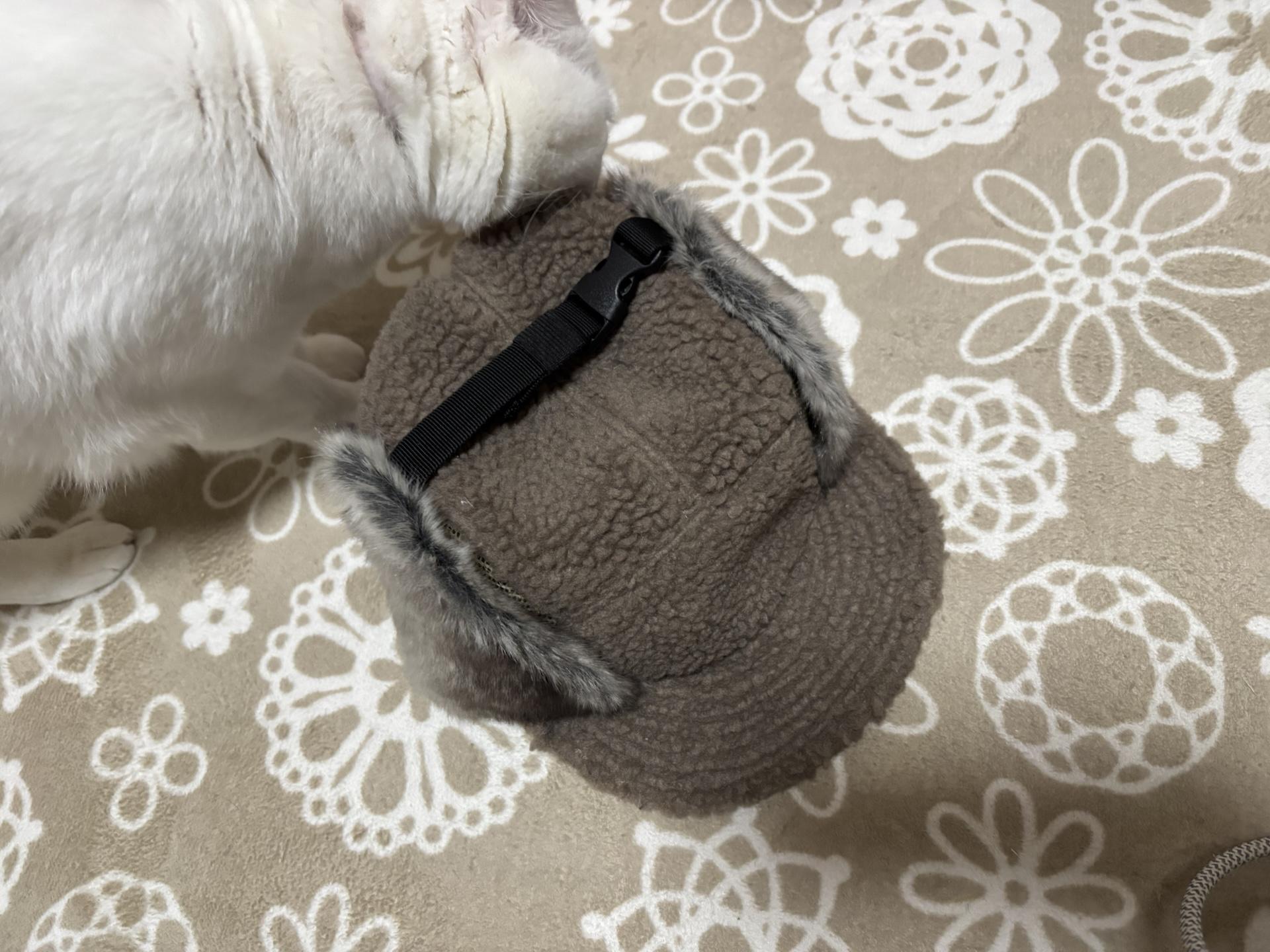 これは、暖かくて可愛い💕 耳当てがフワ... / naoさんのモーメント | YAMAP / ヤマップ