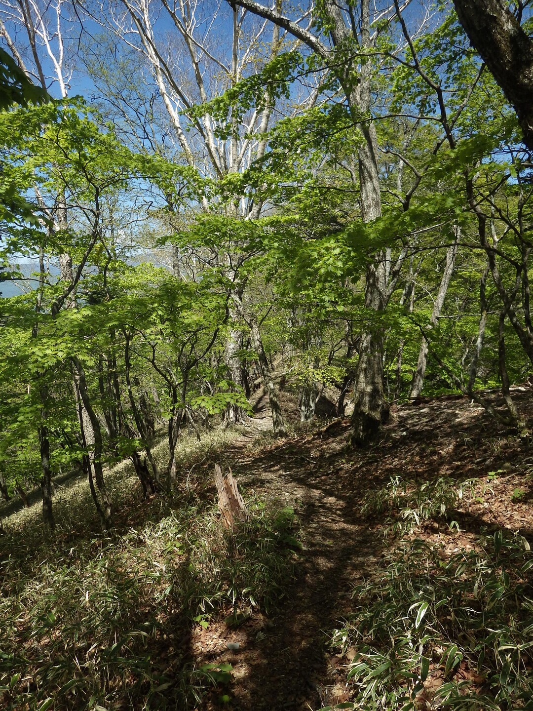 雨乞岳 / RYZさんの甲斐駒ヶ岳・日向山の活動データ | YAMAP / ヤマップ