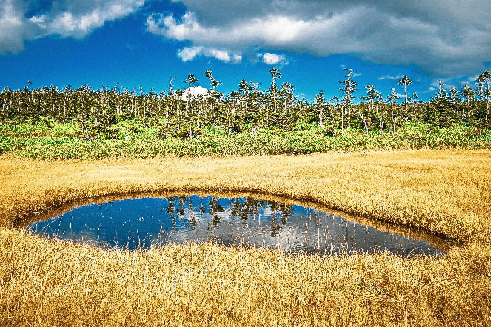 池塘リフレ / GIさんのモーメント | YAMAP / ヤマップ