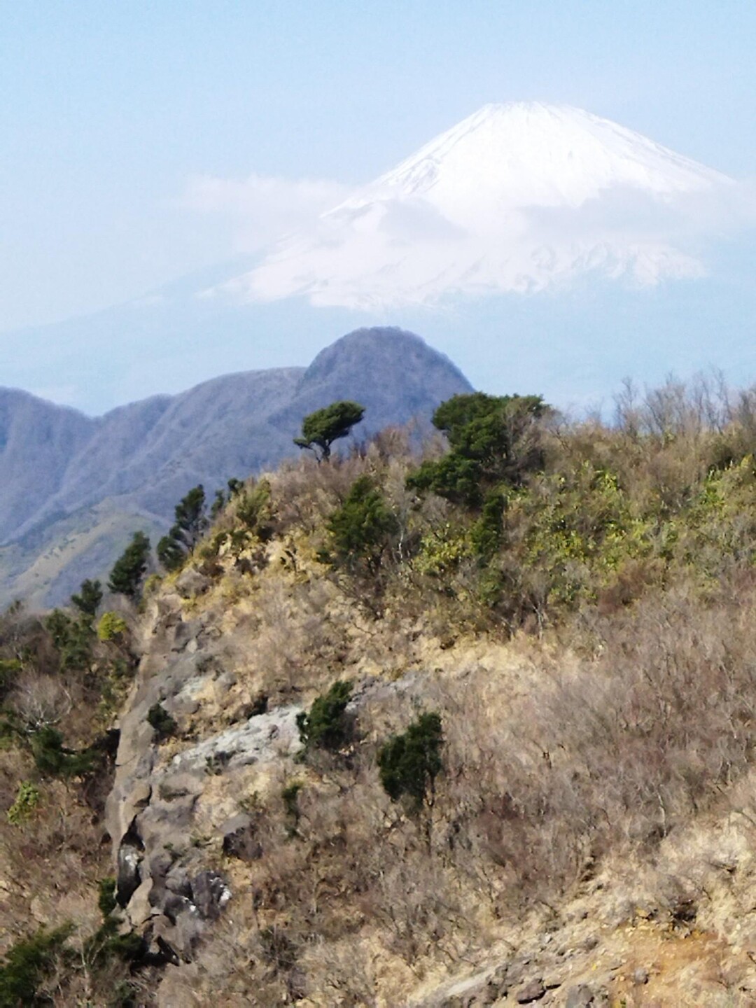 火打石山・明神ヶ岳 / kuramanさんの金時山・明神ヶ岳の活動データ | YAMAP / ヤマップ