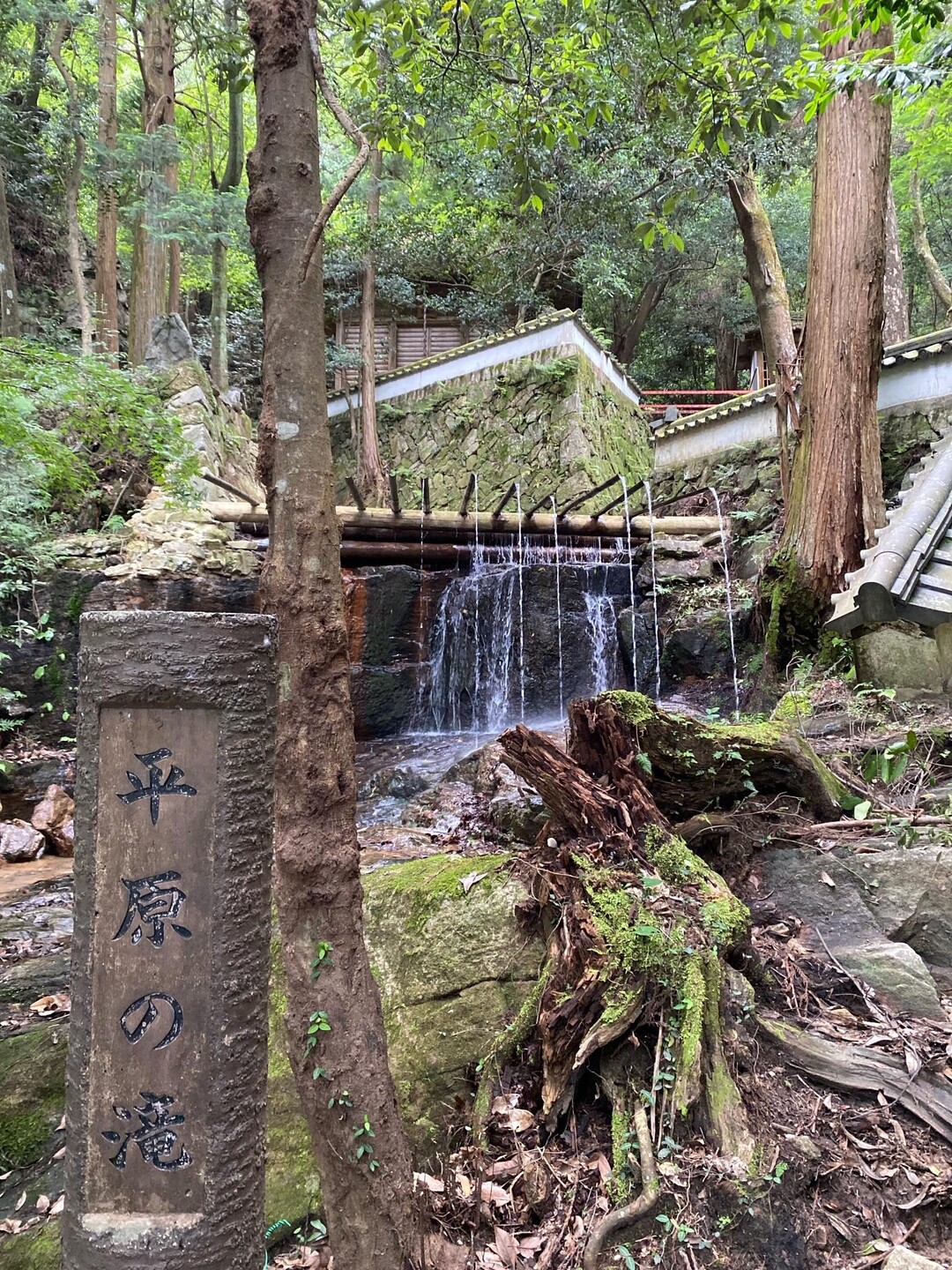 乙女峠・茶臼山 / Chayaさんの茶臼山・万灯山の活動データ | YAMAP / ヤマップ