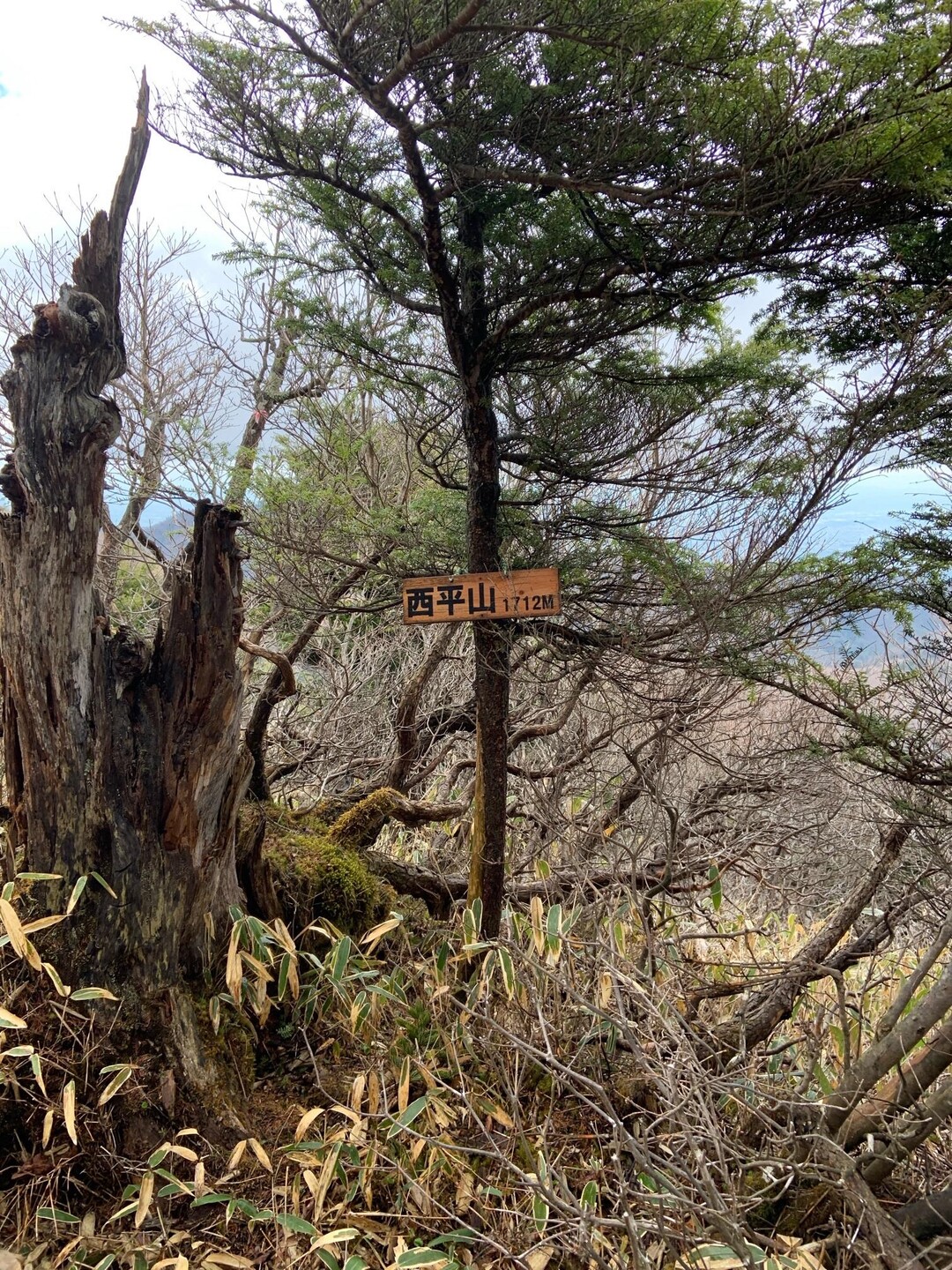 釈迦ヶ岳(高原山)・西平岳・鶏頂山 / mini.TMKさんの高原山・釈迦ヶ岳・鶏頂山の活動データ | YAMAP / ヤマップ