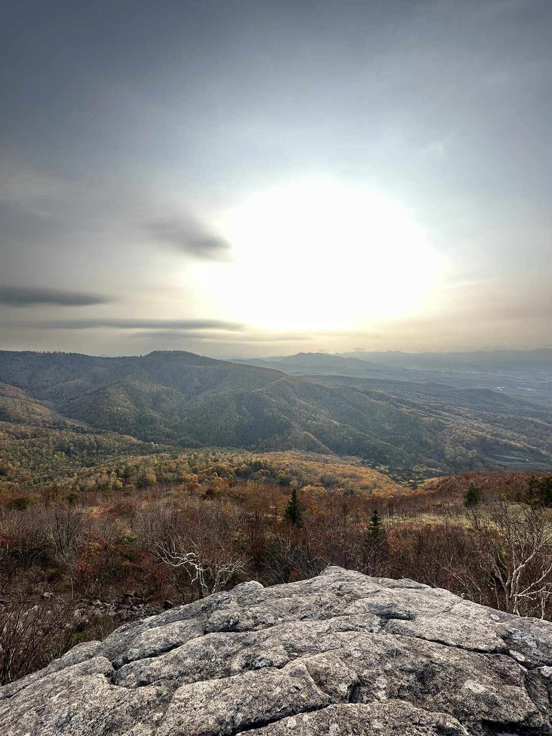 塩谷丸山 / whale瀧さんの塩谷丸山・於古発山の活動データ | YAMAP / ヤマップ