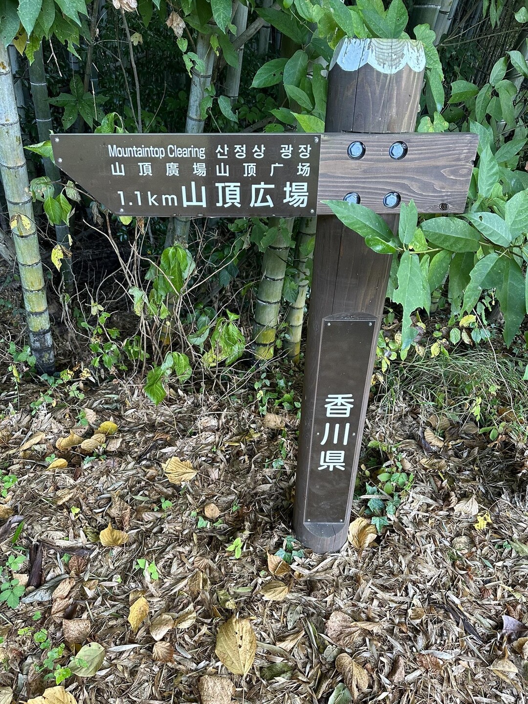 大麻山-2023-10-28 / YUMIKOさんのウォーキングの活動データ | YAMAP / ヤマップ