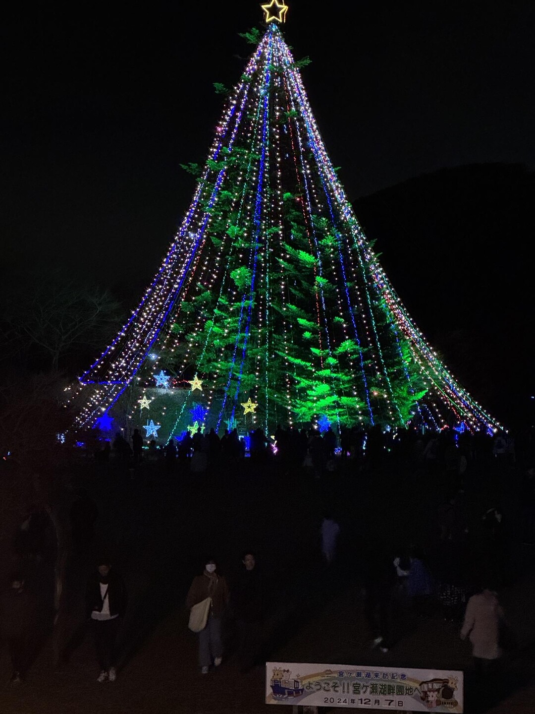 相州アルプス縦走〜宮ヶ瀬イルミネーション / syu8_PPさんの大山の活動データ | YAMAP / ヤマップ