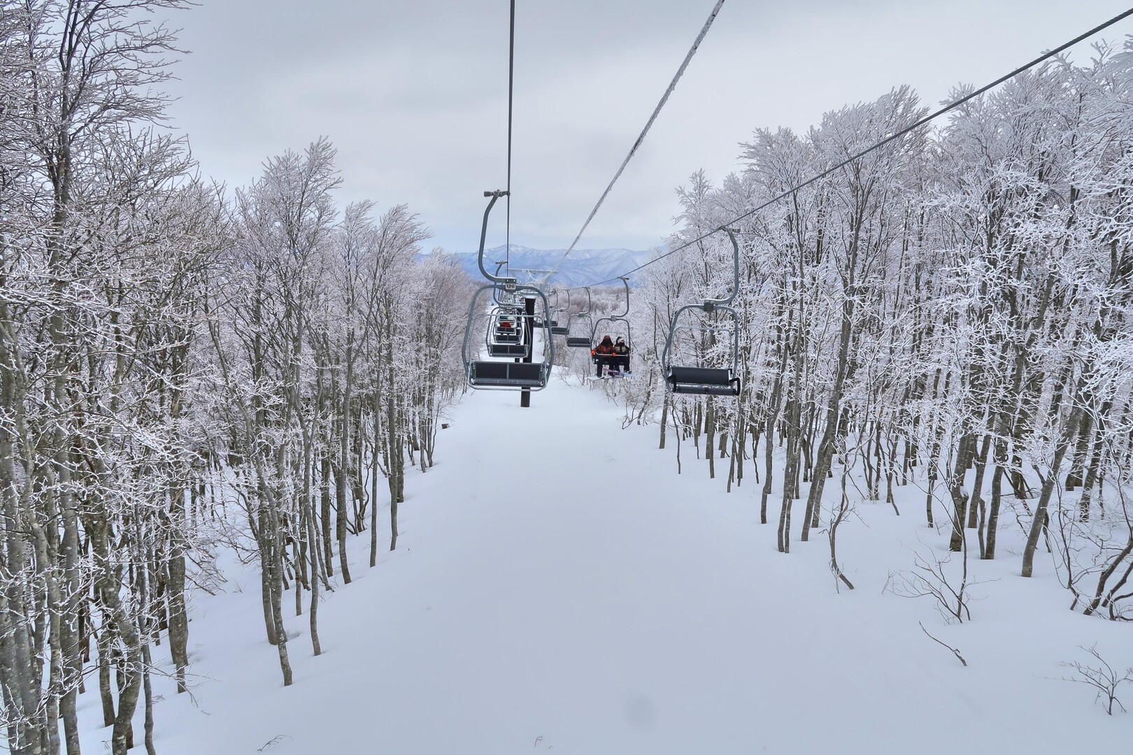 [SKI🎿]ネコマ マウンテン-2024-02-25 / 猫髭さんの磐梯山・雄国山・赤埴山の活動データ | YAMAP / ヤマップ