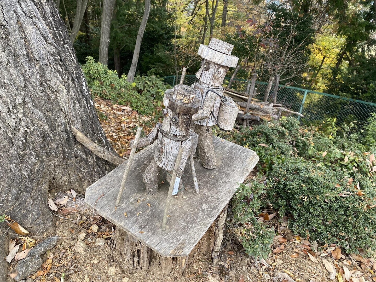 燧山・龍崖山・柏木山 / MOさんの天覧山・多峯主山・天覚山の活動日記 | YAMAP / ヤマップ