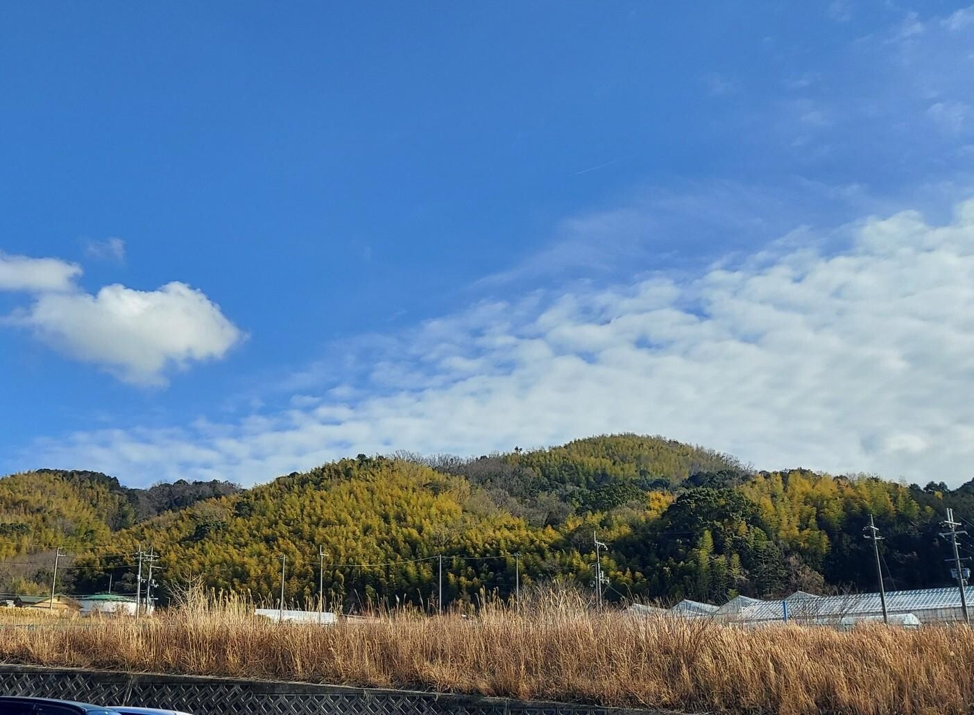 Around神於山 / ree-koさんの槇尾山（槙尾山）・和泉葛城山・神於山の活動データ | YAMAP / ヤマップ