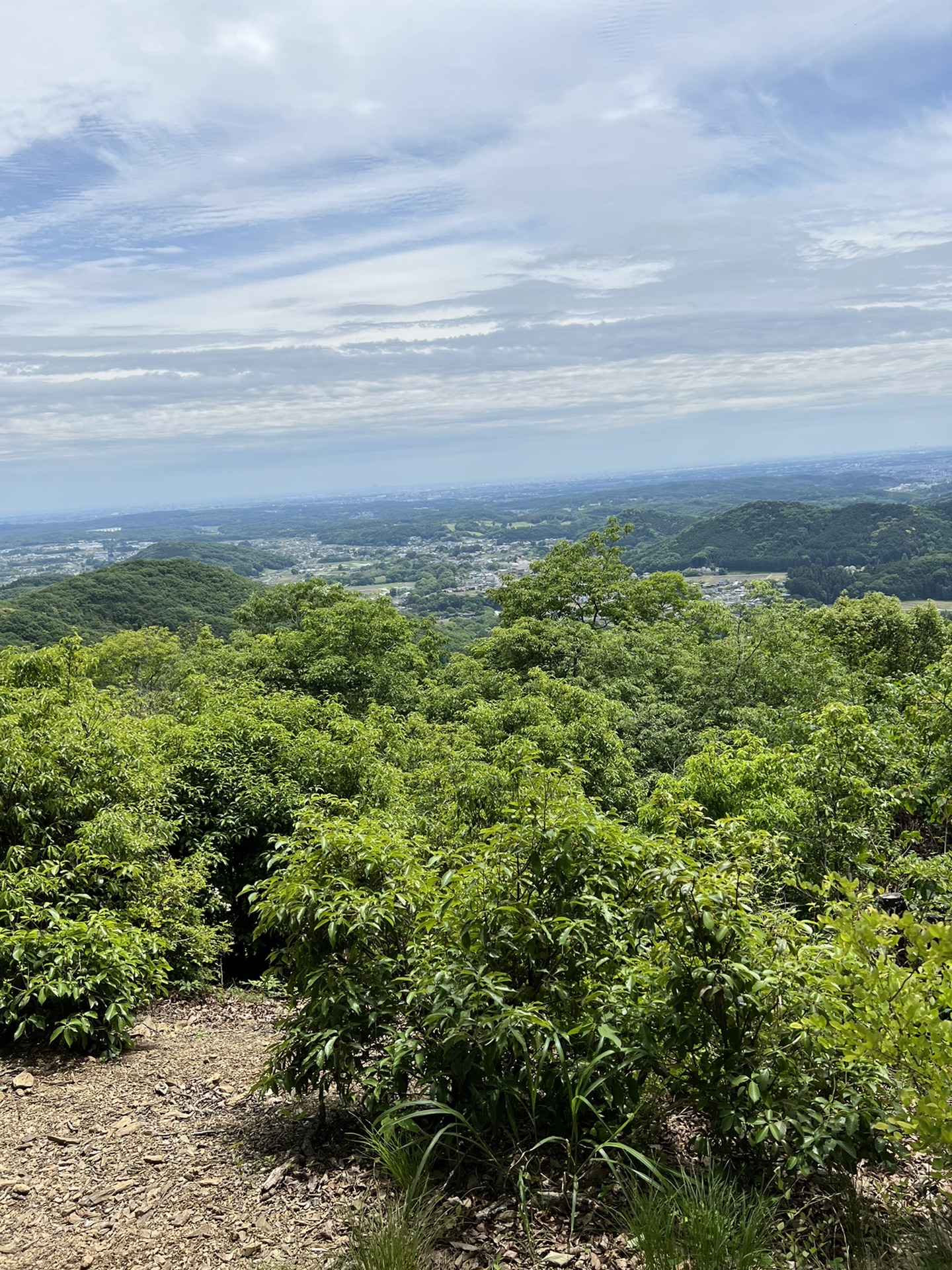 Amy(エイミー)さんの投稿したフィールドメモ | YAMAP / ヤマップ