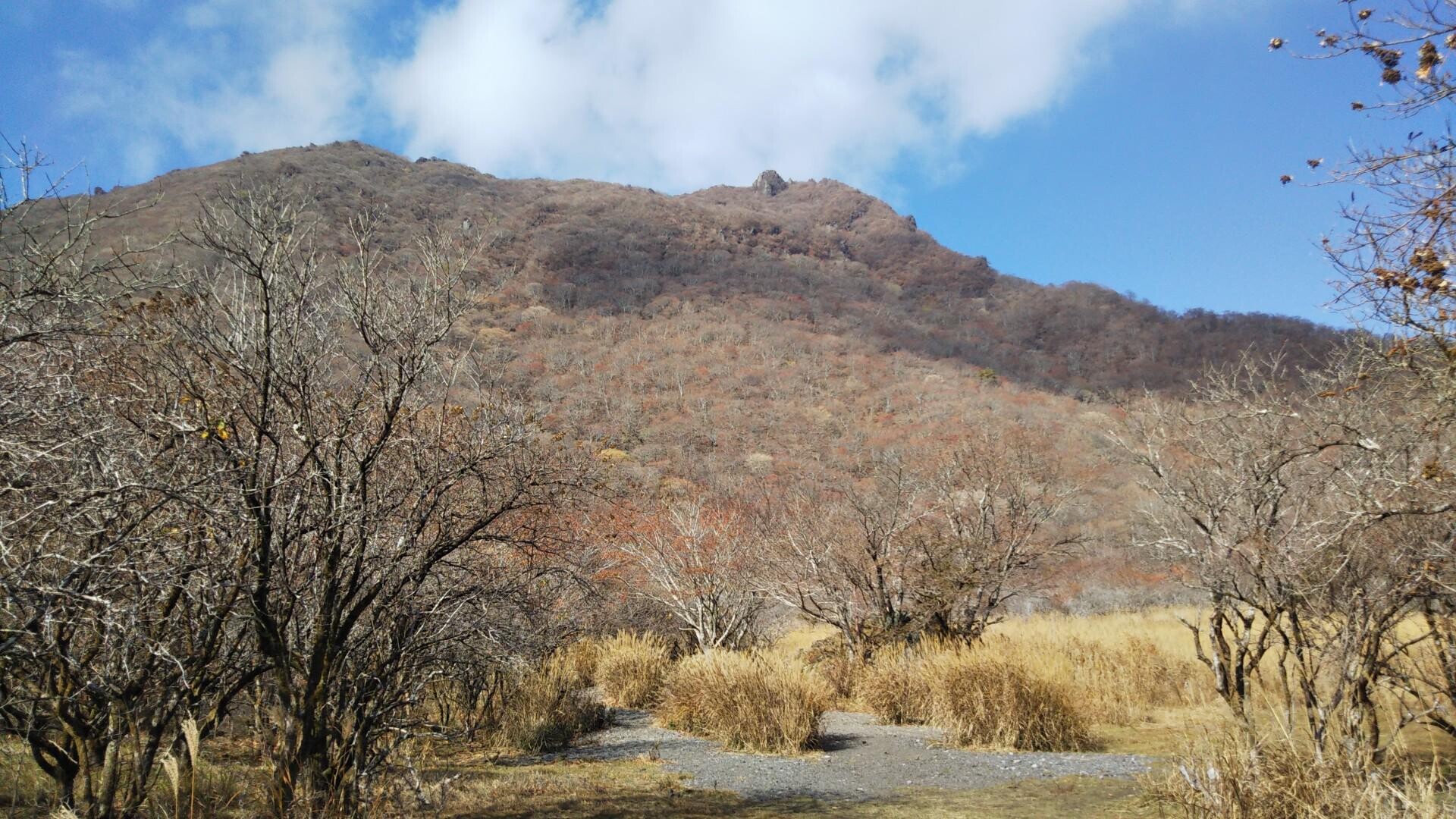 鳥居窪 入山公御霊廟 / otu Yさんの九重山（久住山）・大船山・星生山の活動日記 | YAMAP / ヤマップ