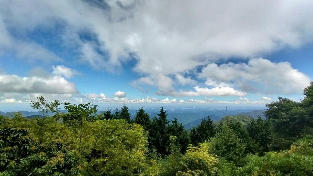 大持山･武川岳（林道山中線 再開通） / km117さんの武甲山・伊豆ヶ岳・小持山の活動データ | YAMAP / ヤマップ