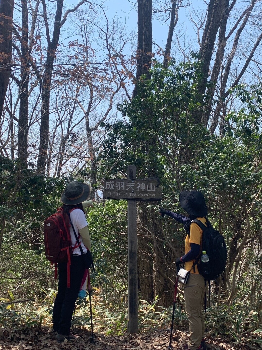 天神山（標高777m） / ひろりんさんの天神山の活動データ | YAMAP / ヤマップ